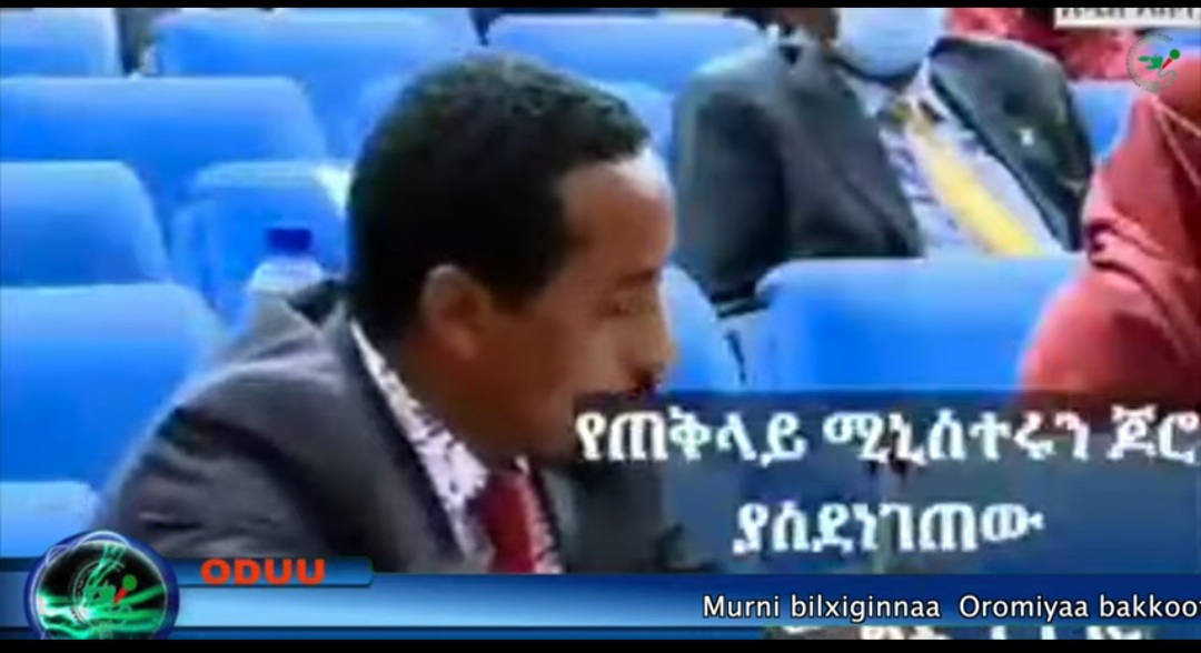 Oduu Waaree Onm Abo Adoolessa 1 2022 Qeerroo Bilisummaa Oromoo