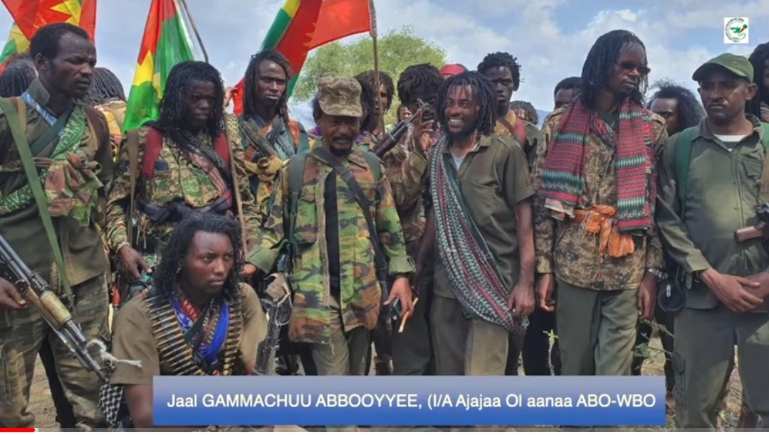 Dhaamsa I/A Ajajaa Ol’aanaa ABO-WBO Jaal Gammachuu Abbooyyee | QBO TV