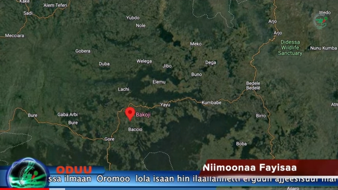 Oduu Waaree Onm Abo Hagayya 7 2022 Qeerroo Bilisummaa Oromoo