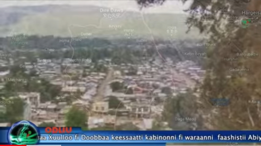 Oduu Waaree Onm Abo Sadaasa 29 2022 Qeerroo Bilisummaa Oromoo