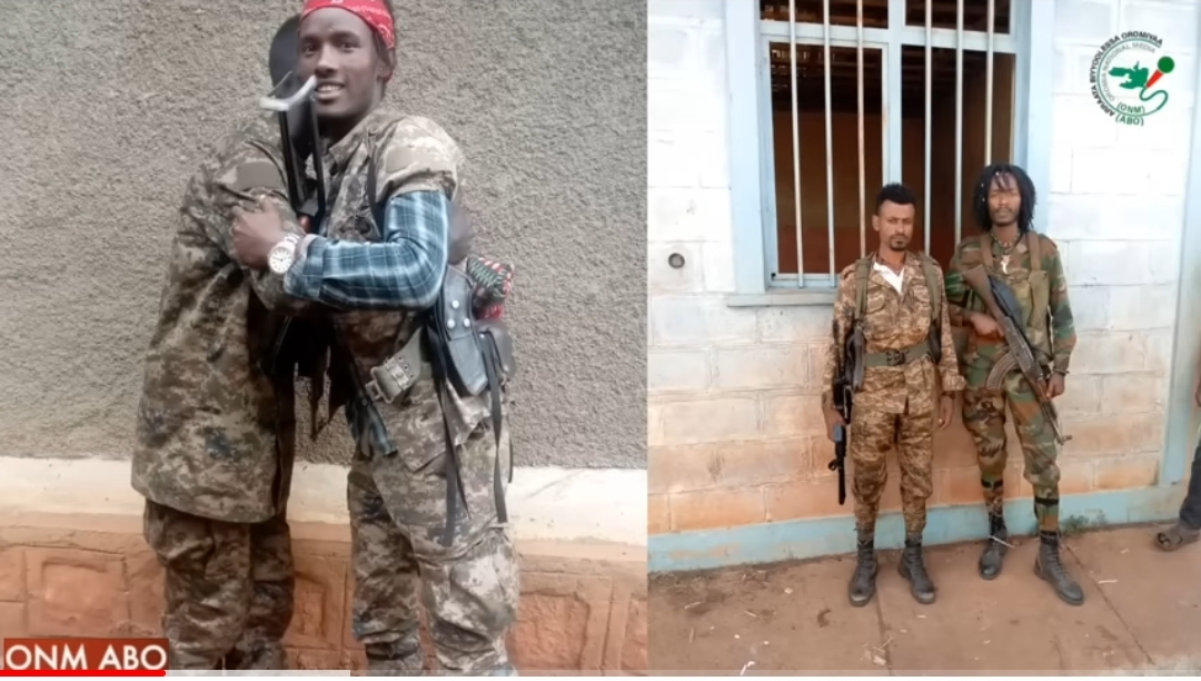 Oduu Waaree Onm Abo Amajjii 21 2023 Qeerroo Bilisummaa Oromoo