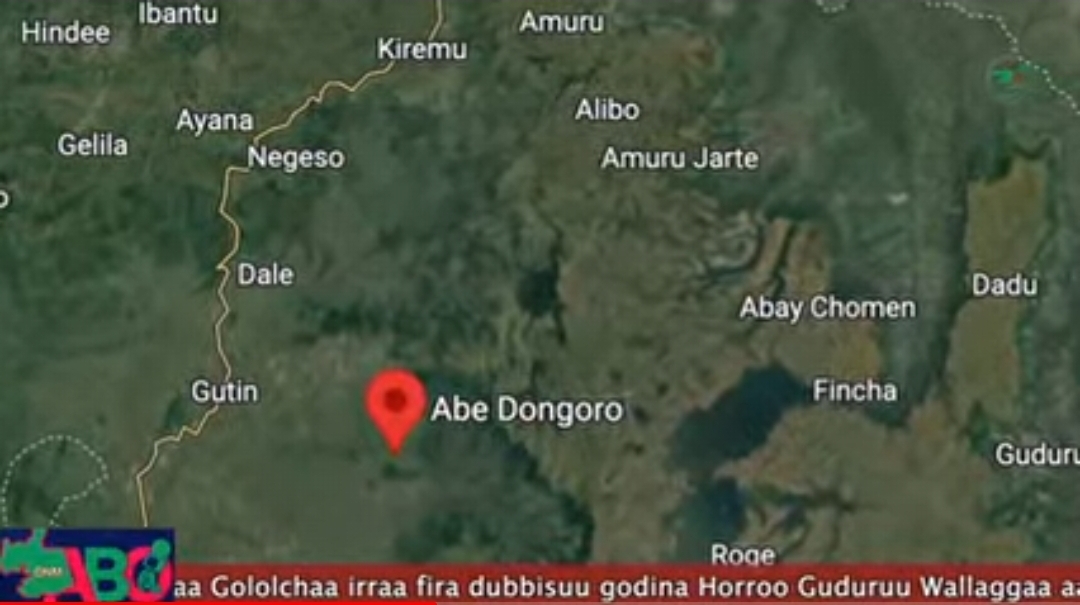 Oduu Waaree Onm Abo Bitootessa 22 2023 Qeerroo Bilisummaa Oromoo