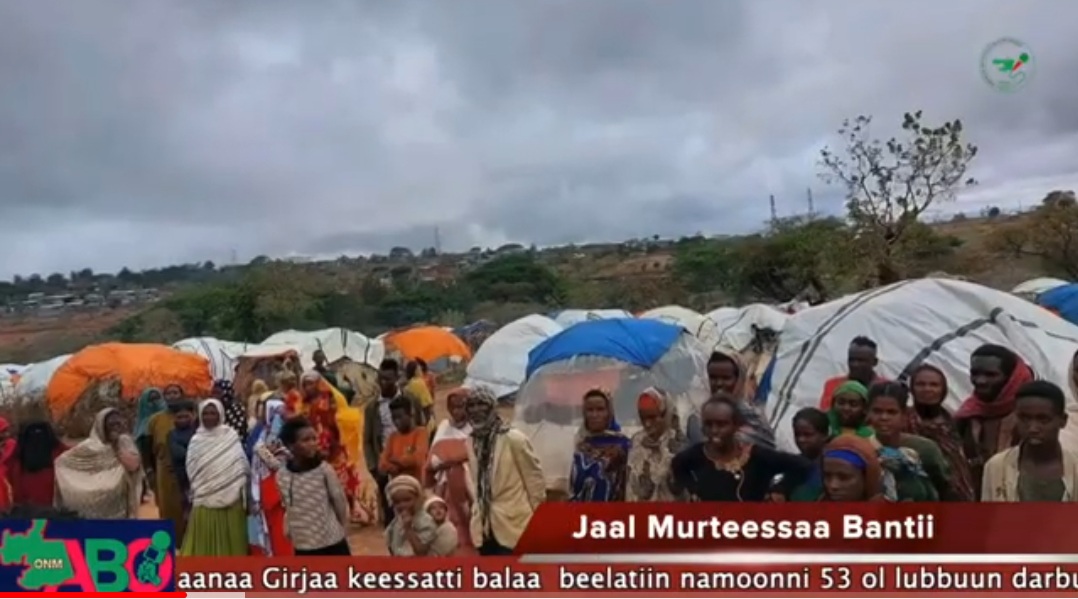 Oduu Waaree Onm Abo Ebla 8 2023 Qeerroo Bilisummaa Oromoo