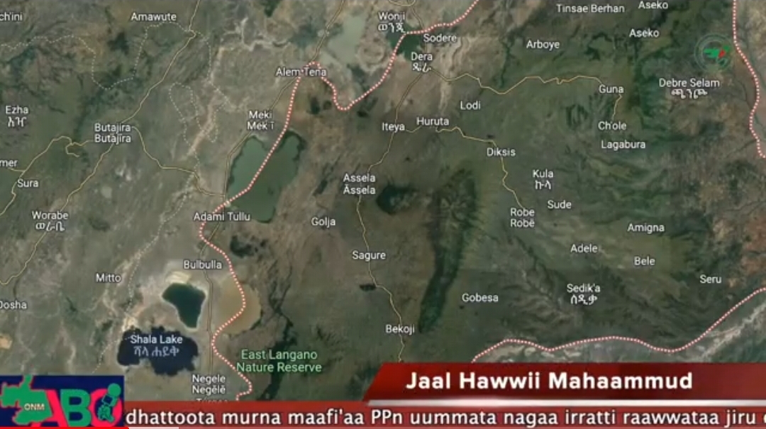 Oduu Waaree Onm Abo Ebla 14 2023 Qeerroo Bilisummaa Oromoo