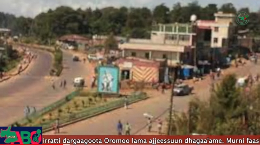 Oduu Waaree Onm Abo Caamsaa 3 2023 Qeerroo Bilisummaa Oromoo