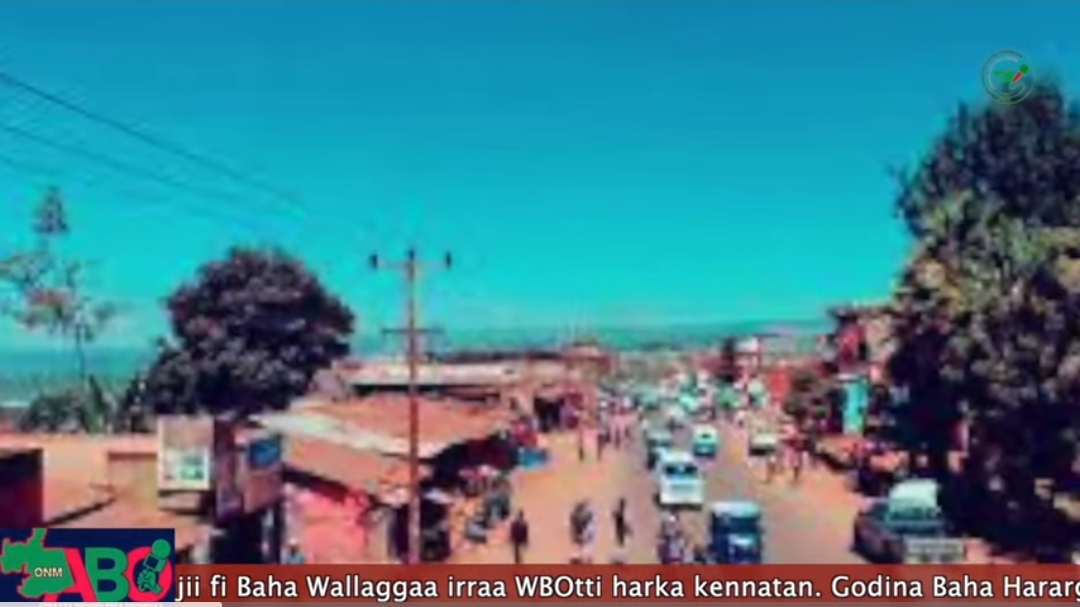 Oduu Waaree Onm Abo Caamsaa 9 2023 Qeerroo Bilisummaa Oromoo