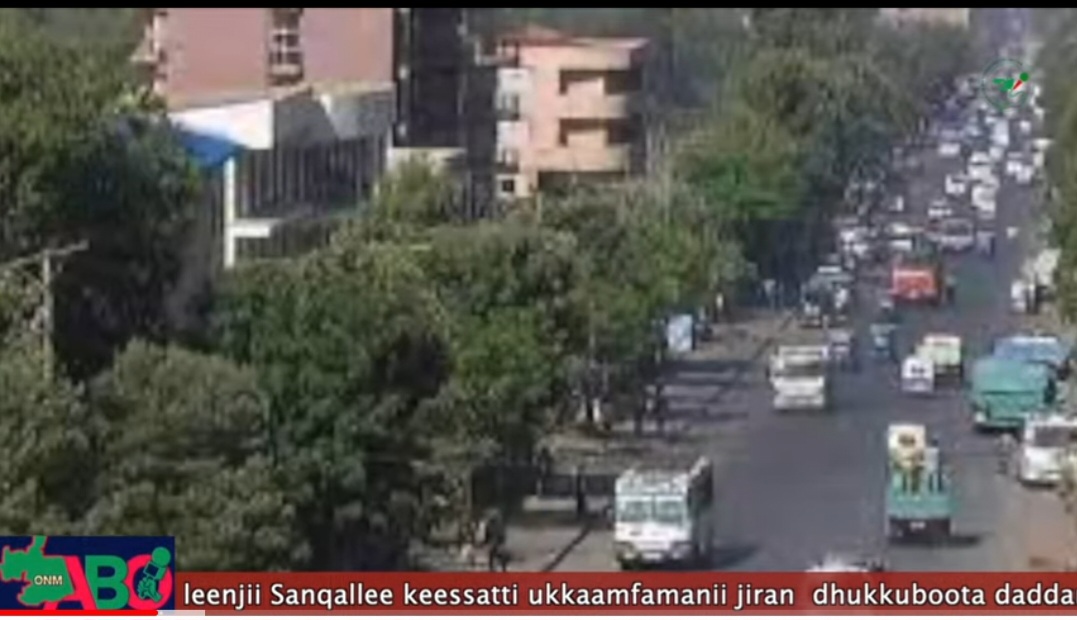 Oduu Waaree Onm Abo Caamsaa 10 2023 Qeerroo Bilisummaa Oromoo