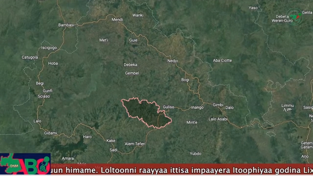 Oduu Waaree Onm Abo Waxabajjii 16 2023 Qeerroo Bilisummaa Oromoo