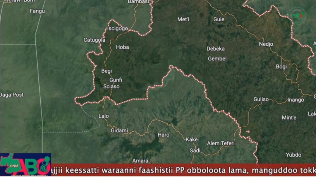 Oduu Waaree Onm Abo Waxabajjii 30 2023 Qeerroo Bilisummaa Oromoo