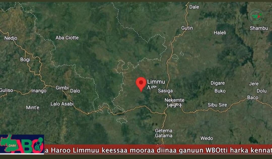 Oduu Waaree Onm Abo Adoolessa 8 2023 Qeerroo Bilisummaa Oromoo