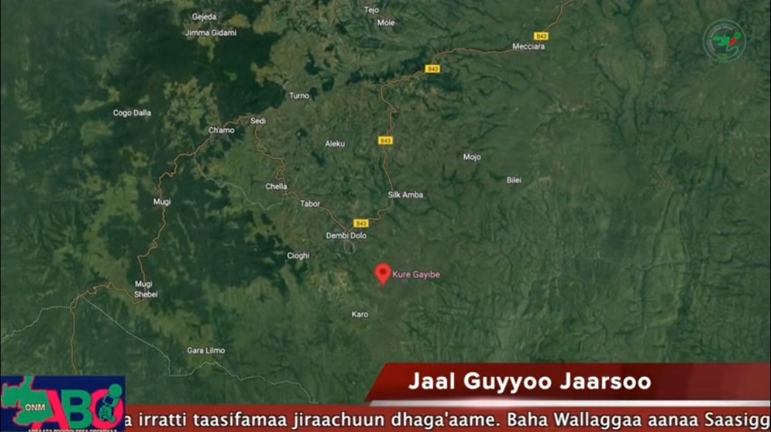 Qeerroo Bilisummaa Oromoo Anaa Dhufu Qeerroo Bilisummaa Oromoo