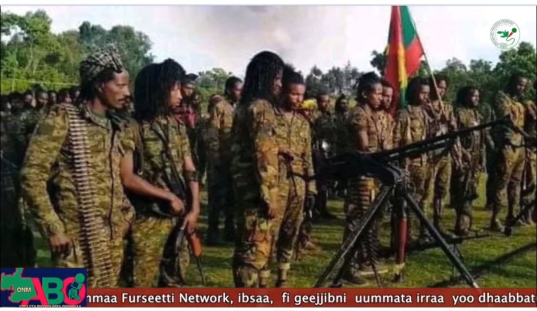 10001011804228112167290847938 – Qeerroo Bilisummaa Oromoo