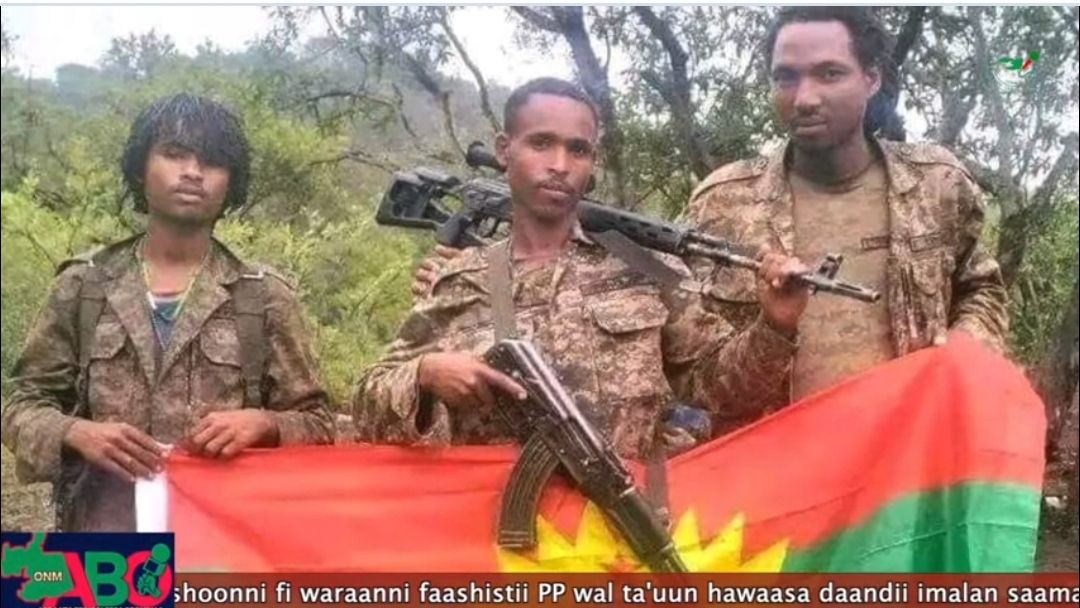 1000112893744650901585244126 – Qeerroo Bilisummaa Oromoo