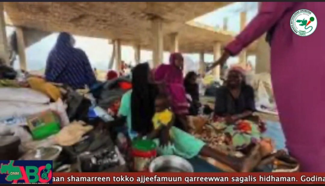 screenshot_20240829_202134_x4985999270596031629 – Qeerroo Bilisummaa Oromoo