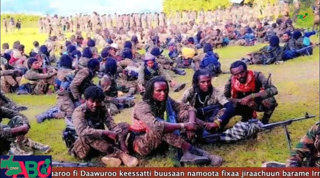 10001414869192073151052359806 – Qeerroo Bilisummaa Oromoo