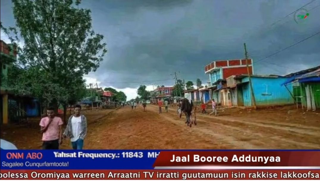 10001695124286926122129210129 – Qeerroo Bilisummaa Oromoo