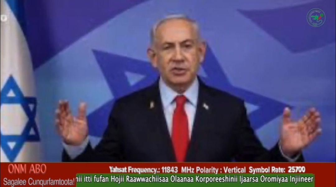 1000180755633323089058775499 – Qeerroo Bilisummaa Oromoo