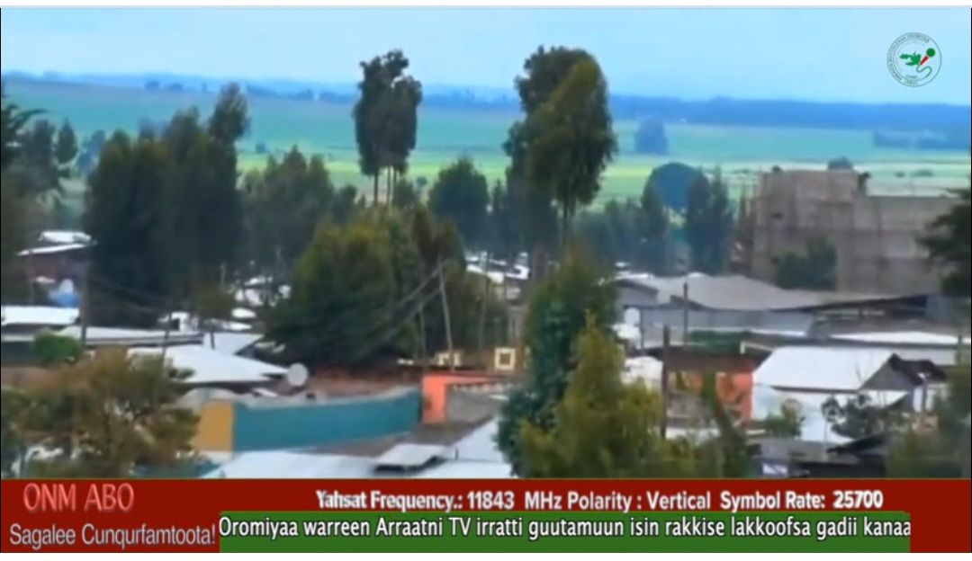 10001833237599424017161992067 – Qeerroo Bilisummaa Oromoo