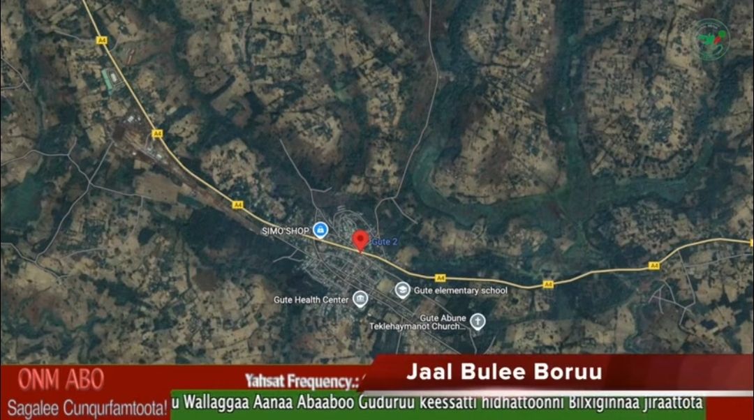 10001841936079019782256311861 – Qeerroo Bilisummaa Oromoo