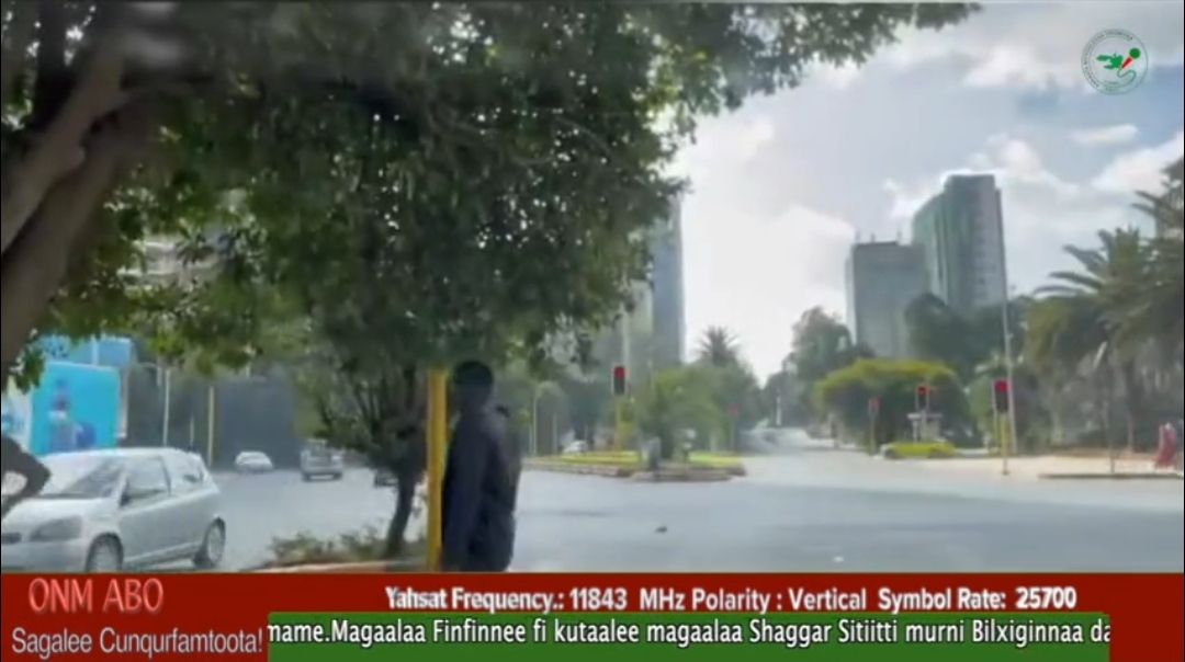10001842066176411115864474056 – Qeerroo Bilisummaa Oromoo