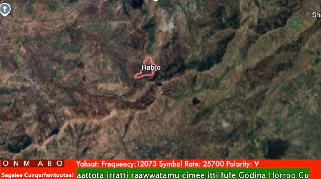 10001976437783491901305919463 – Qeerroo Bilisummaa Oromoo