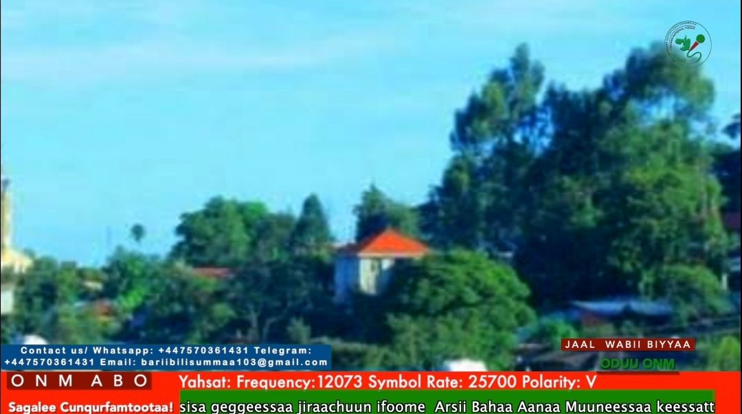 10002335342981764053075309513 – Qeerroo Bilisummaa Oromoo