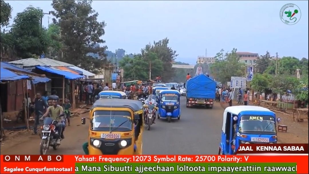 10002710456349478696187297943 – Qeerroo Bilisummaa Oromoo