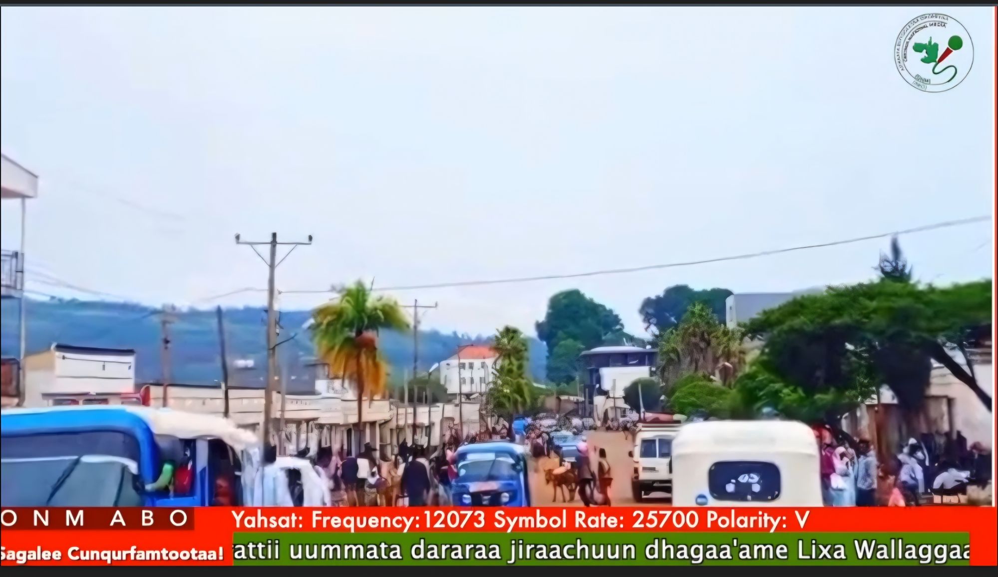 10002725672592037355719511924 – Qeerroo Bilisummaa Oromoo