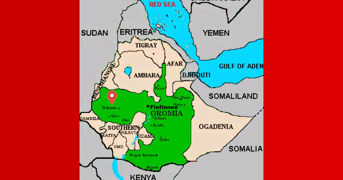 Qeerroo Bilisummaa Oromoo – Page 1771 – ANAA DHUFU QEERROO BILISUMMAA ...